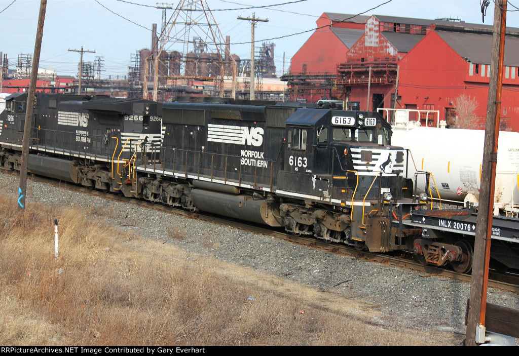 NS 9266 and NS 6163